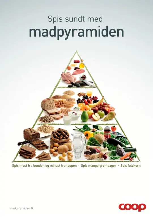 Madpyramidens historie